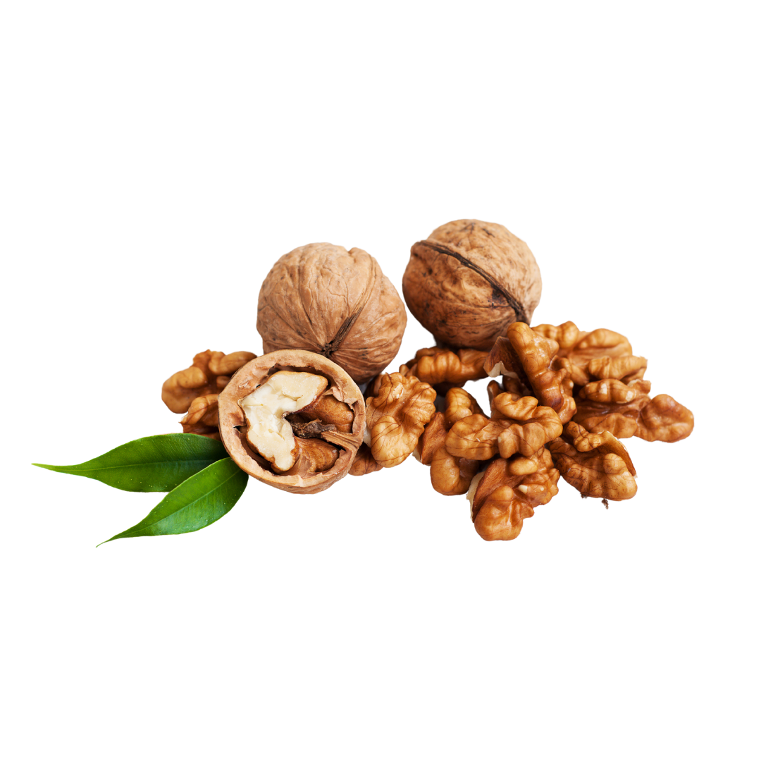 Australian Walnuts – Metro Fresh Norwood