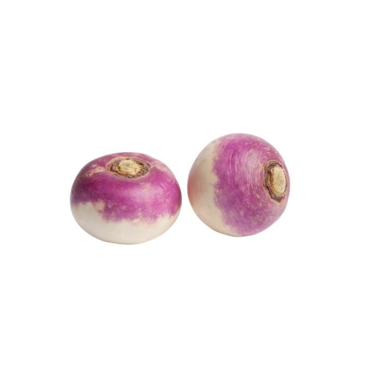 Turnip – Metro Fresh Norwood